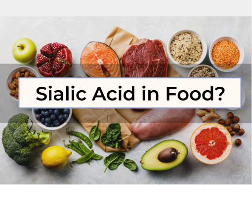 Natural Food Sources of Sialic Acid vs Supplements: What’s Best ...